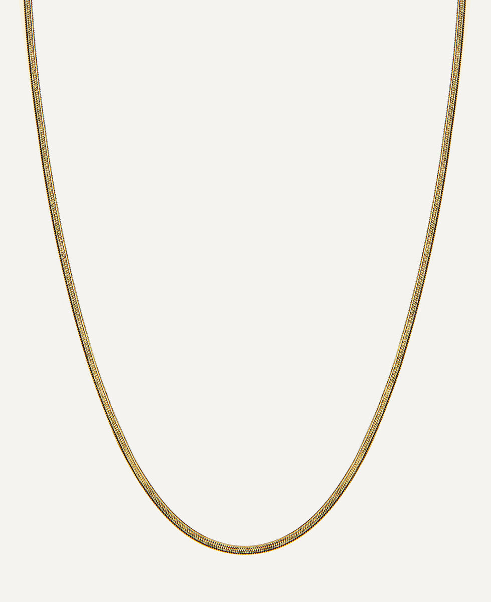 Marcelle 14k Solid Gold Baby Herringbone Chain Necklace – Sachelle ...